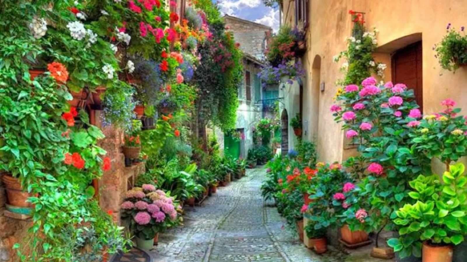 Como é a primavera na Itália » Da Itália Cidadania